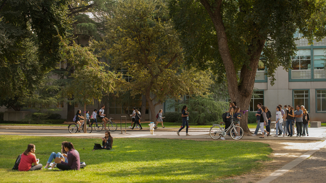 Short-Term Content-Based Programs | Continuing and Professional ...