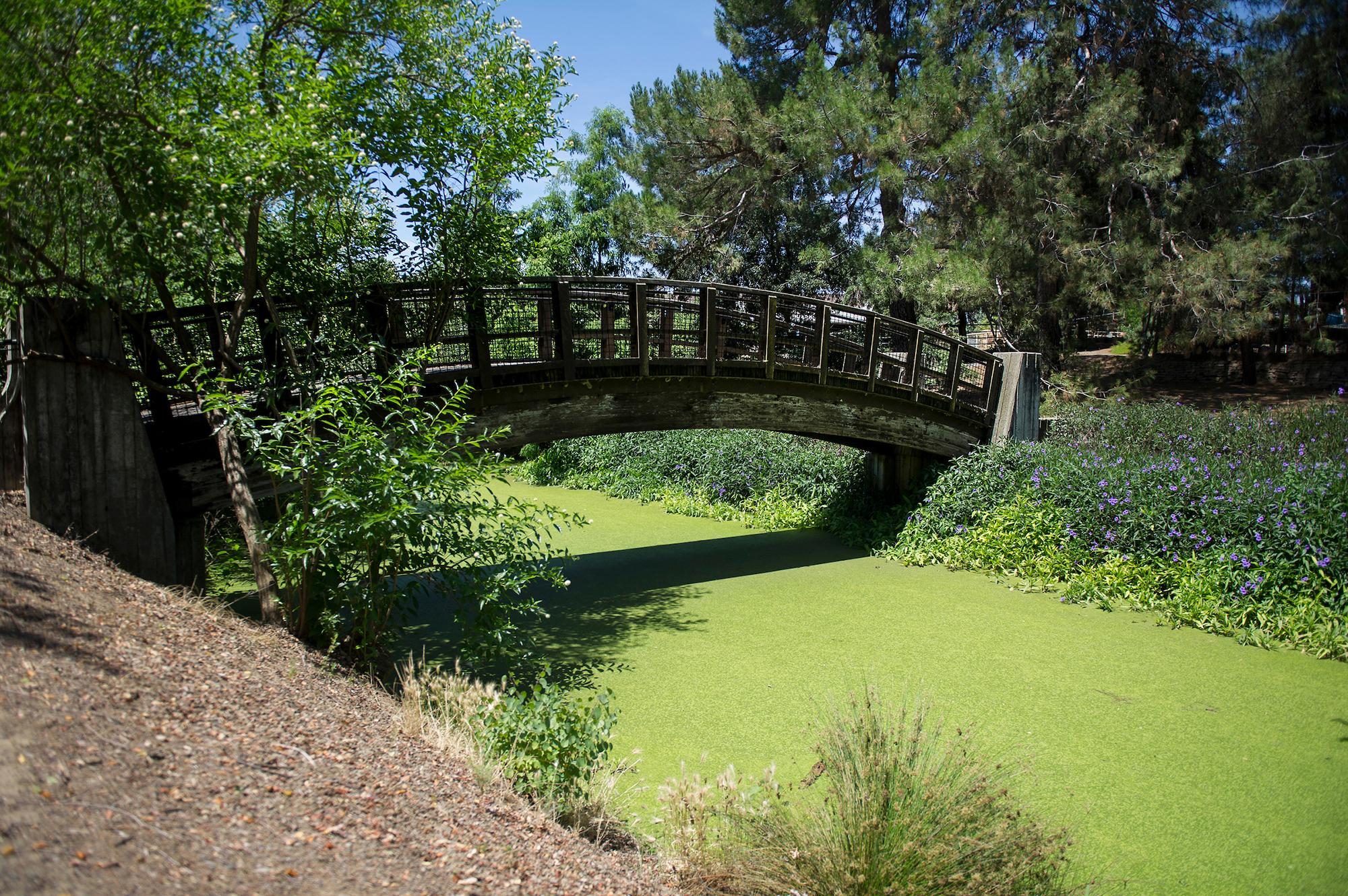 Continuing and Professional Education | International - UC Davis Arboretum