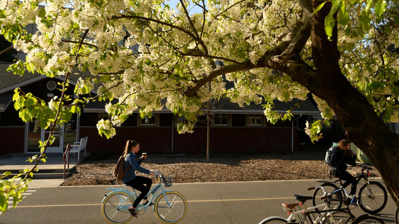 Short-Term Content-Based Programs | Continuing and Professional ...