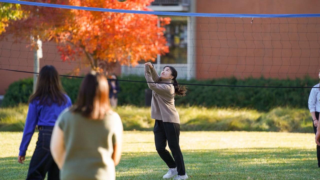 Continuing and Professional Education | International - Extracurricular Activities at UC Davis